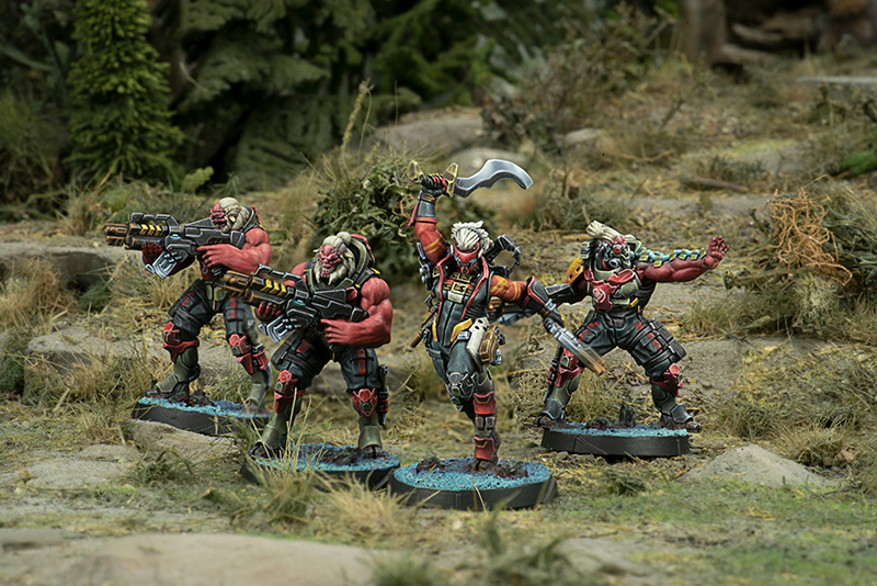 Preorder Infinity: Raveneye - CORVUS BELLI